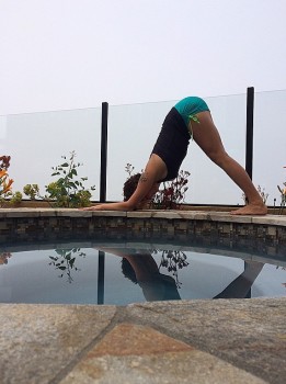 Dolphin Pose Great Inversion Starter – TryBelle Magazine