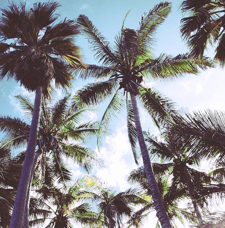 Take Matters into your Own Hands this Earth Day – TryBelle Magazine